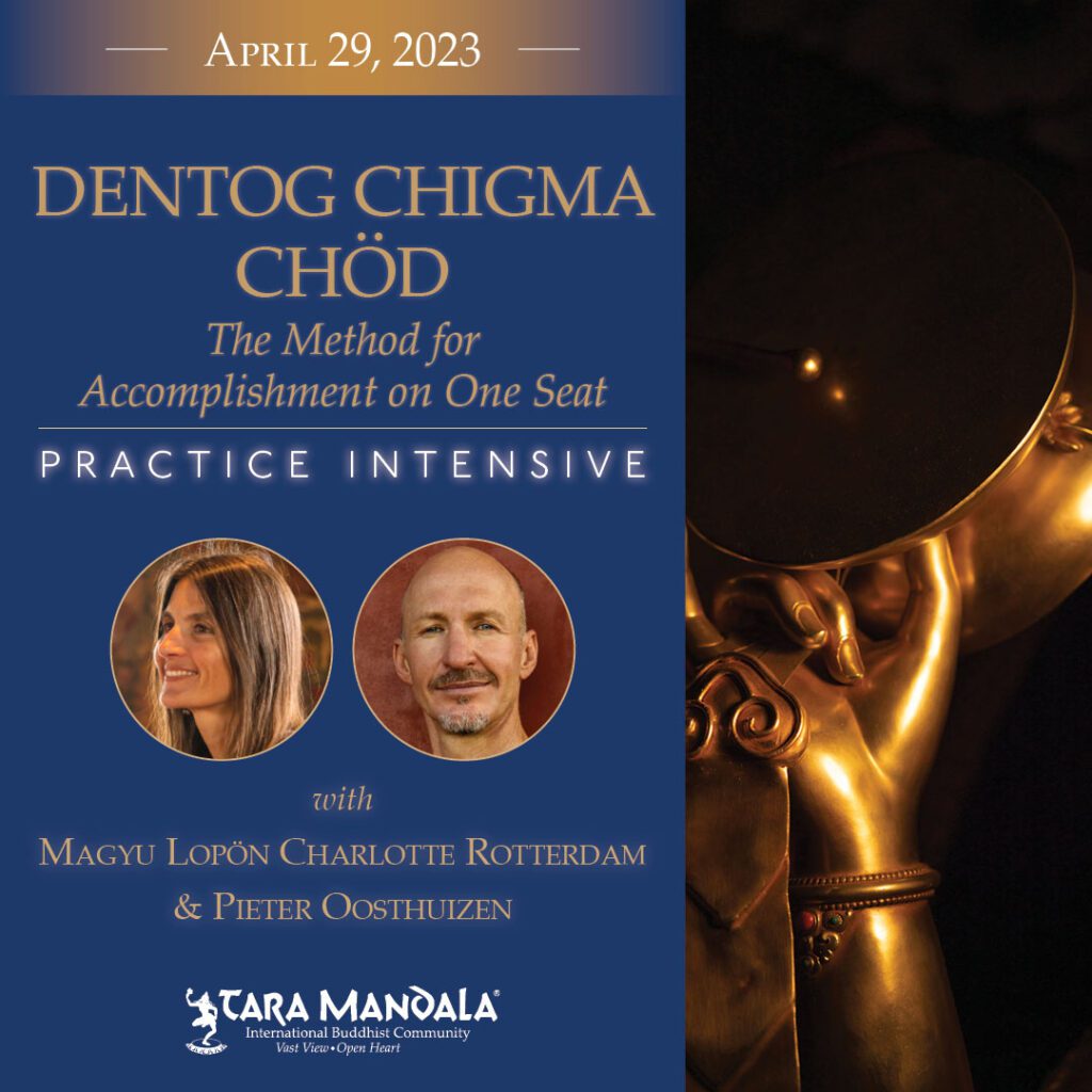 Sharing Experience - Events & Practices with Tara Mandala - Tara Mandala