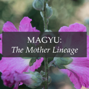 Programs Overview - Tara Mandala