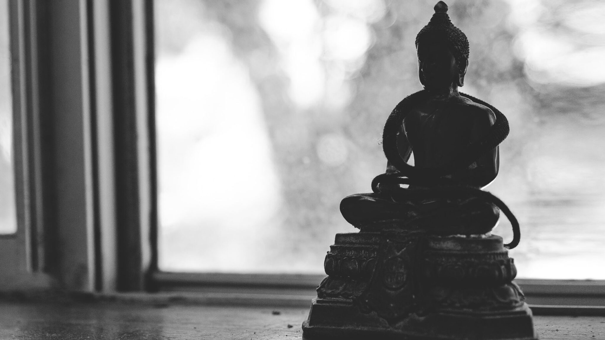 Death, Transition, and Transference - by Lopön Robin Gayle, PhD, MDiv ...