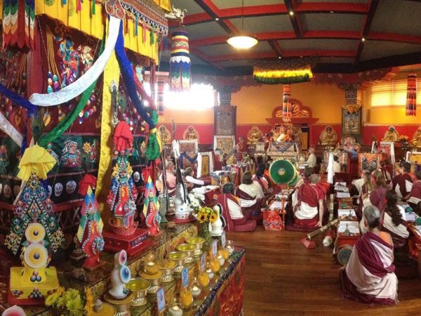 Lama Tsultrim Allione's Biography - Tara Mandala