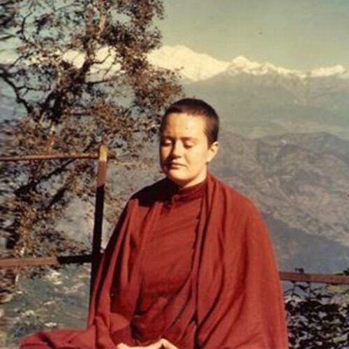 Lama Tsultrim's Birthday Celebrations - Tara Mandala